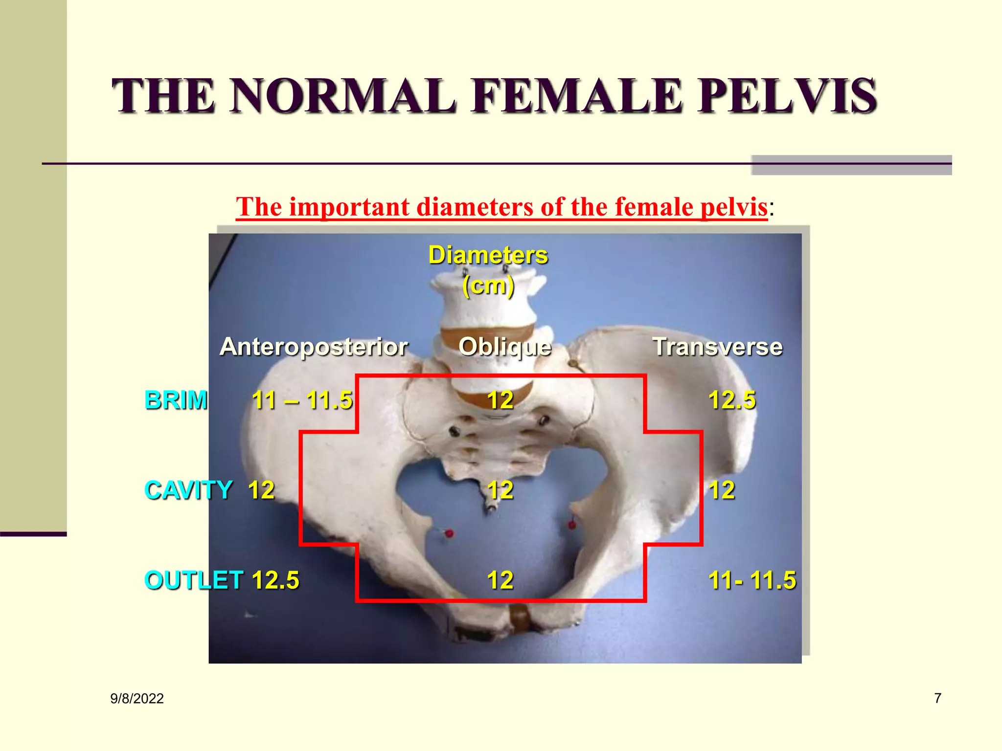 normal laboor & delivery.pptxi | PPTX