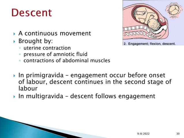 normal laboor & delivery.pptxi | PPTX