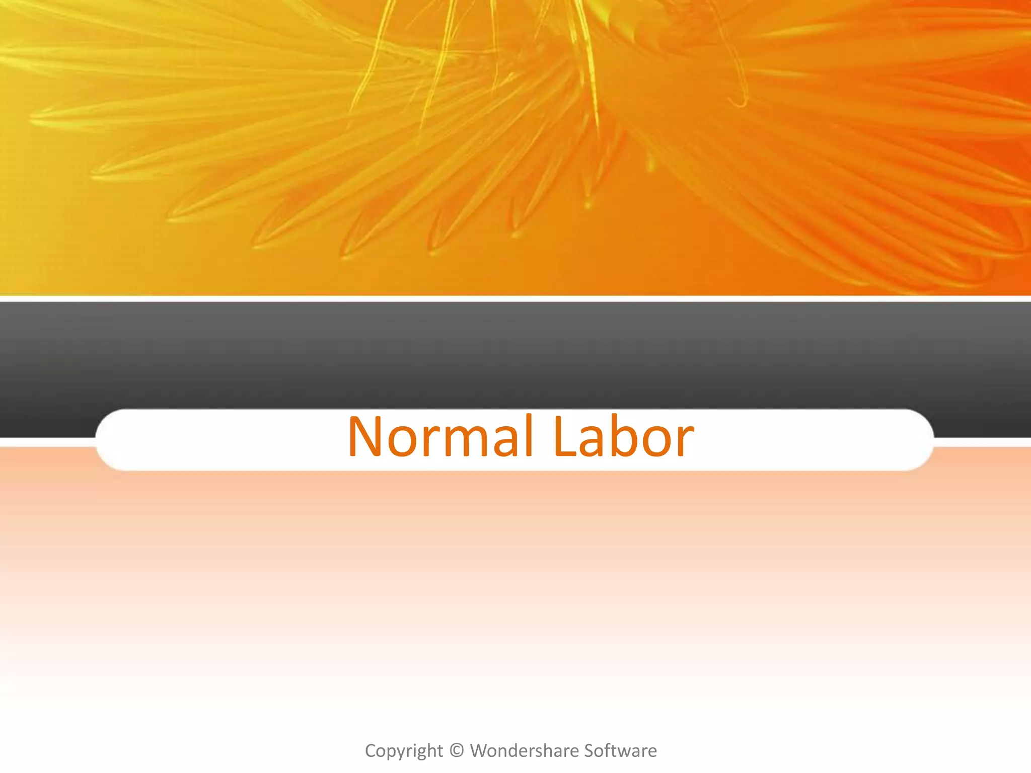 Normal labor | PPT