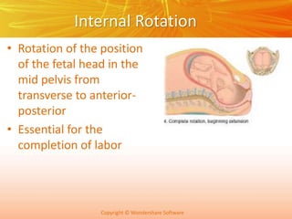 Normal labor | PPTX