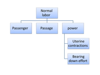 Normal labor | PPTX