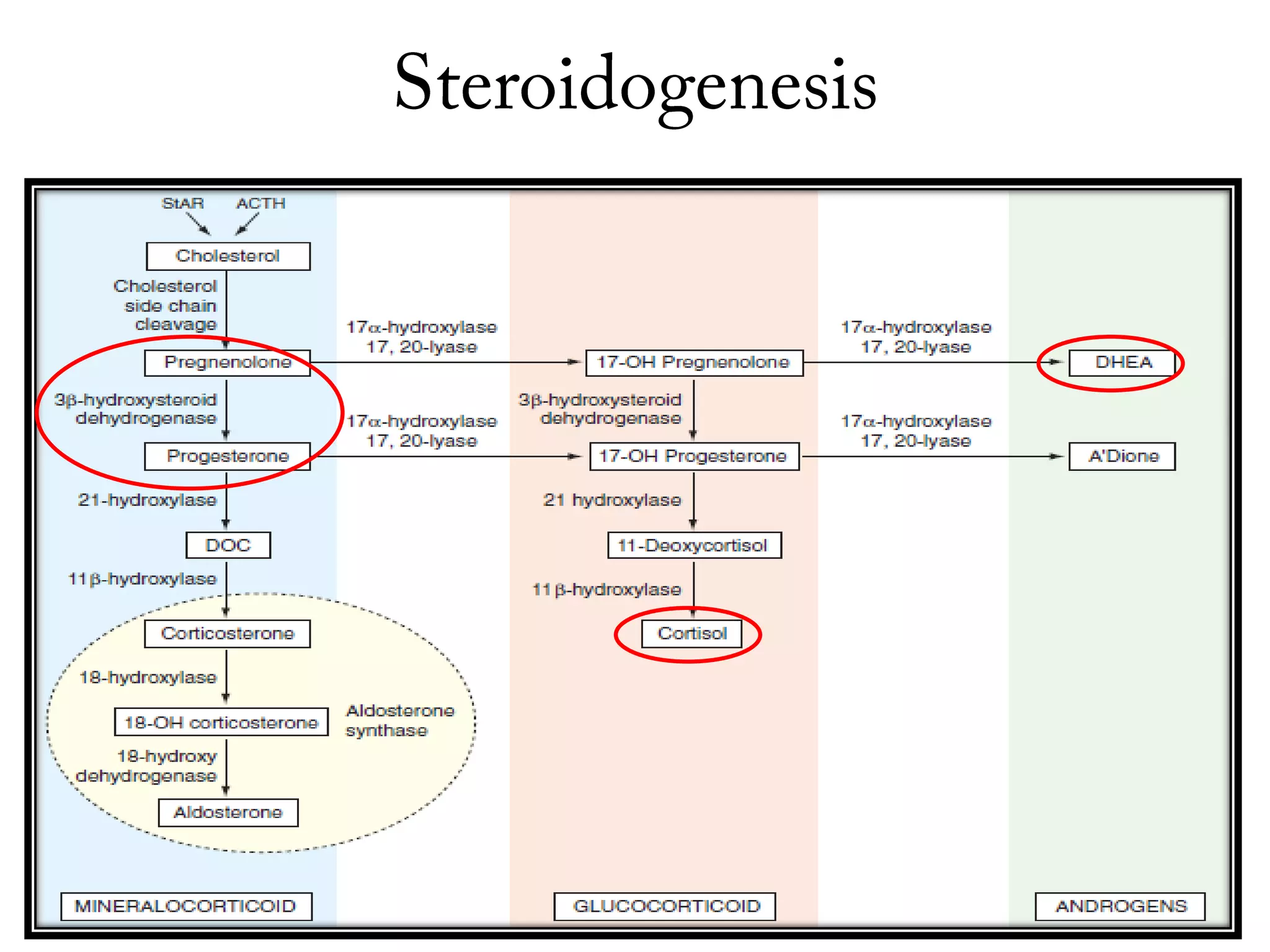 Normal labor and stages of labor | PPT