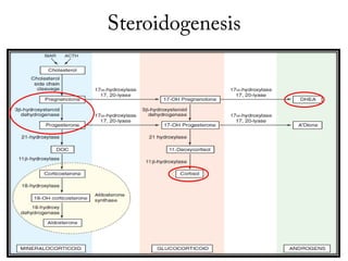 Normal labor and stages of labor | PPT