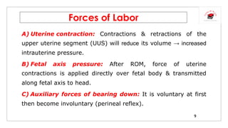 NORMAL LABOR. WARDA | PDF