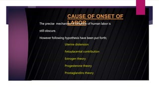 Normal labor (1).pptx