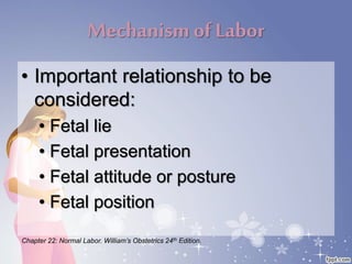 Normal labor and delivery | PPT