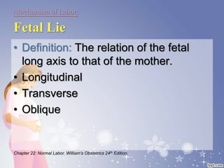Normal labor and delivery | PPT
