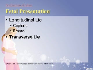 Normal labor and delivery | PPT