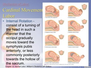 Normal labor and delivery | PPT
