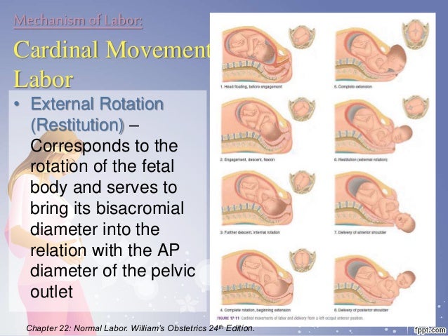 Normal labor and delivery