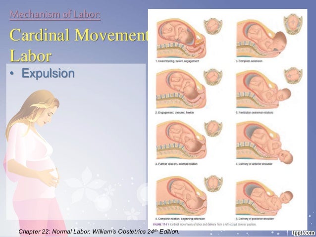 Normal labor and delivery