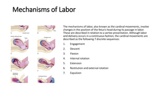 Normal labor and delivery | PPTX