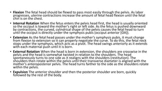 Normal labor and delivery | PPTX