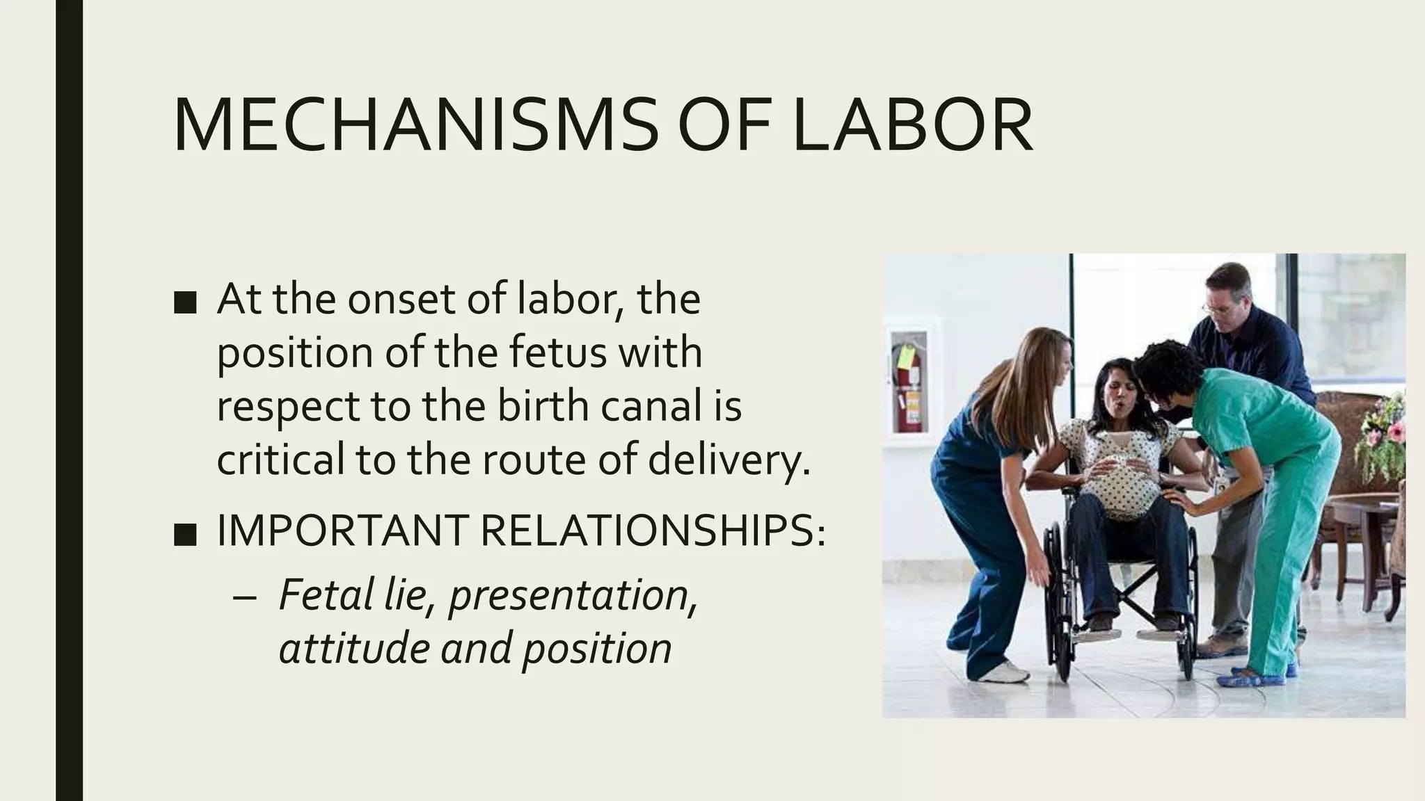 Normal labor and delivery | PPTX