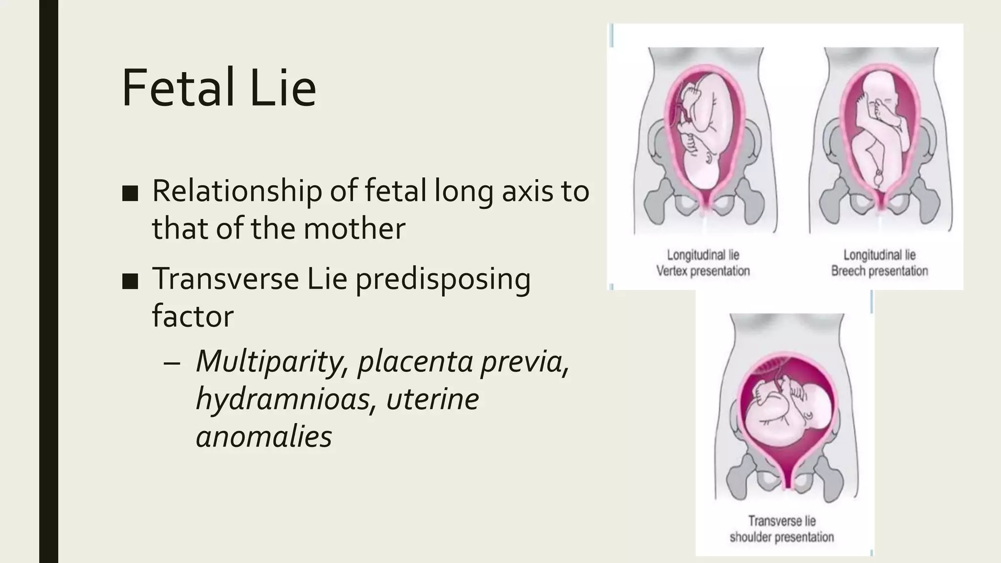 Normal labor and delivery | PPTX