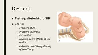 Normal labor and delivery | PPT