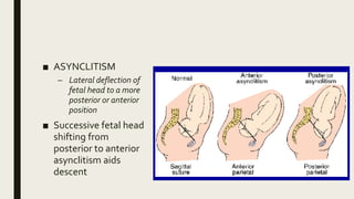 Normal labor and delivery | PPT