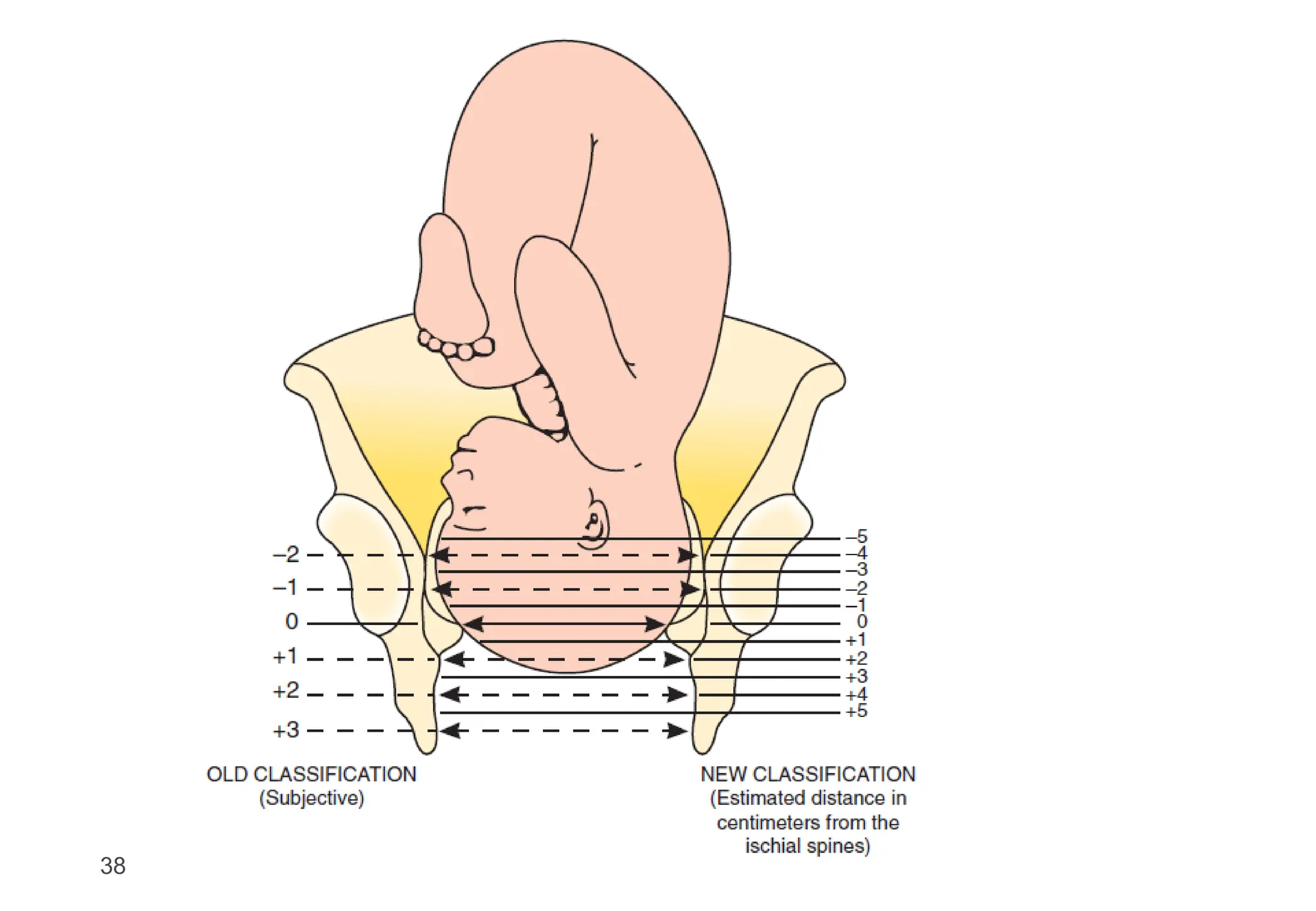 Normal Labor and Delivery Dr. Biruk lulseged.pptx