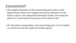 NORMAL LABOR AND DELIVERY PRESENTATION.pptx