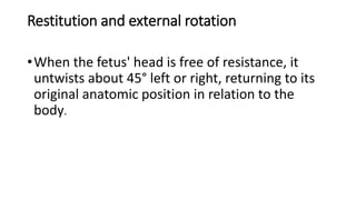 NORMAL LABOR AND DELIVERY PRESENTATION.pptx