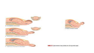 NORMAL LABOR AND DELIVERY PRESENTATION.pptx