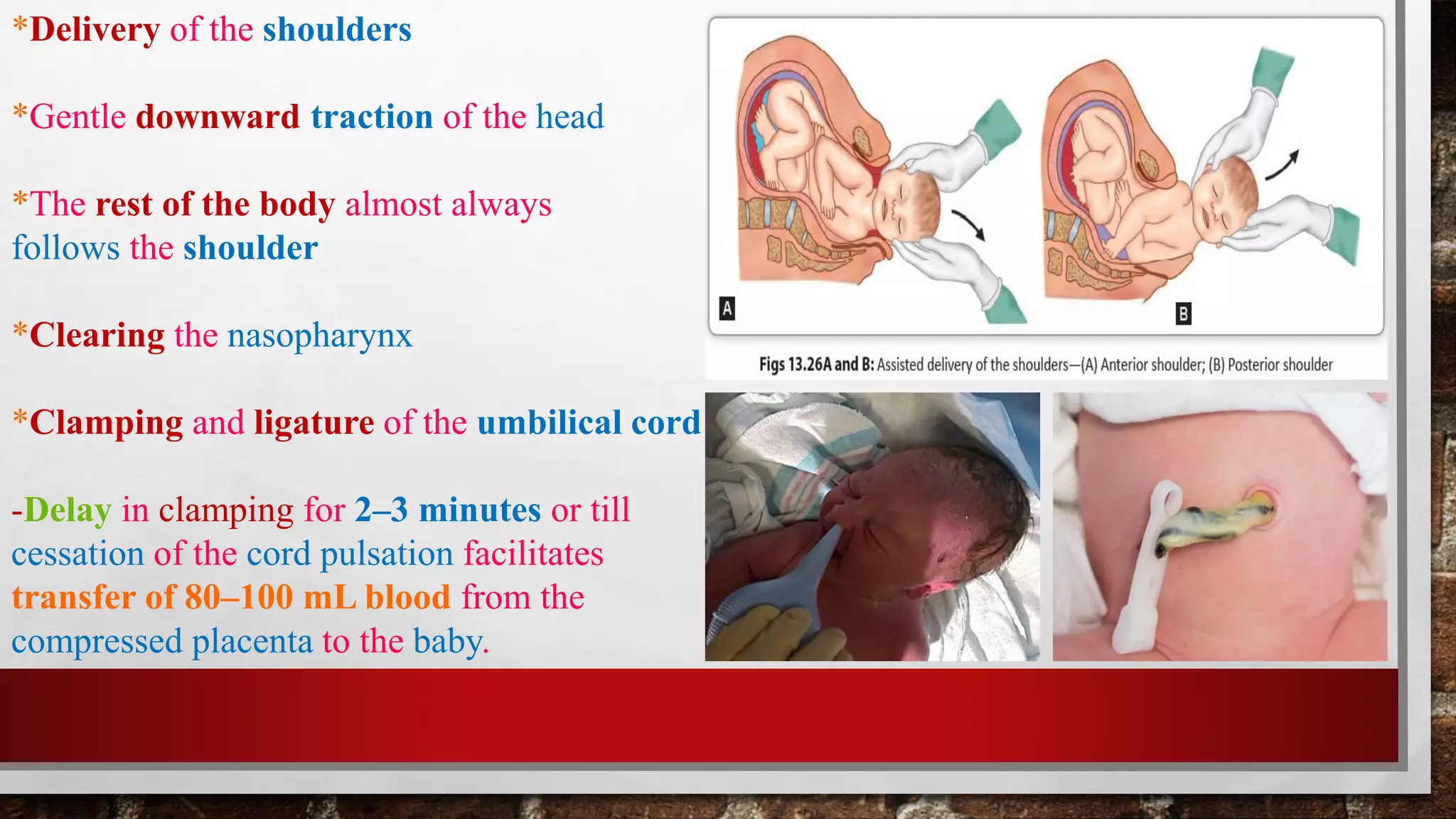 Normal labor and physical therapy role | PDF