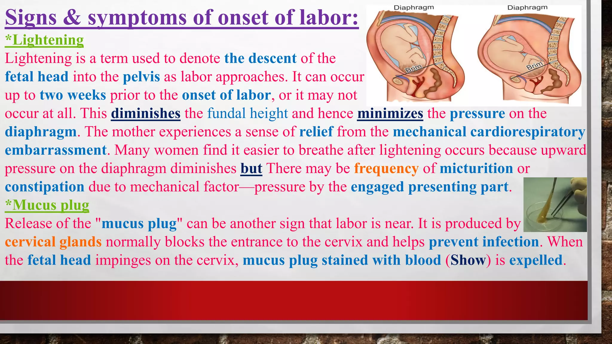 Normal labor and physical therapy role | PDF