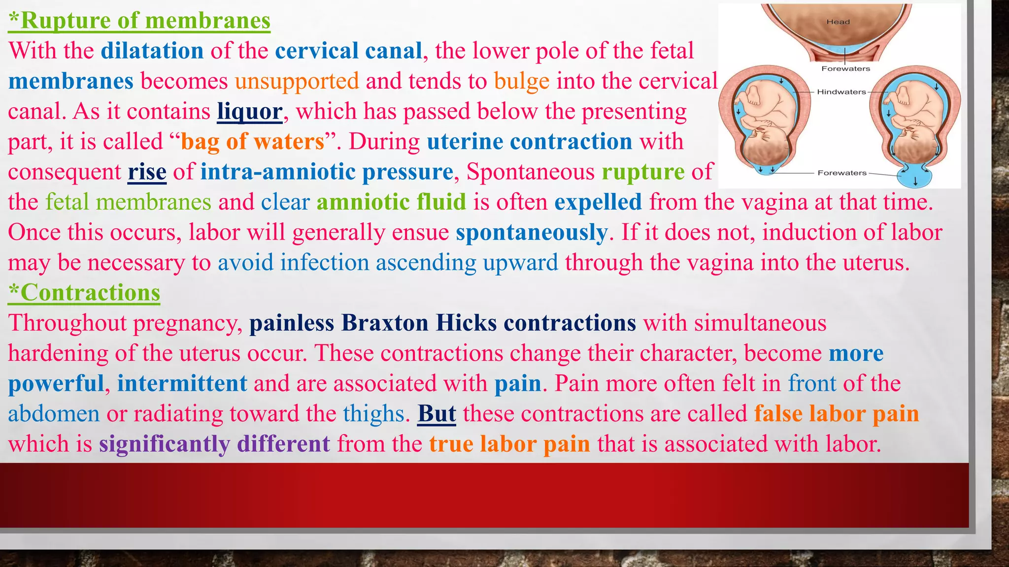 Normal labor and physical therapy role | PDF