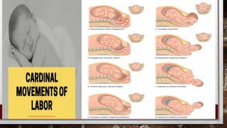 Normal labor and physical therapy role | PDF