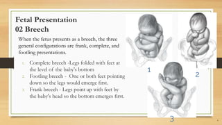 NORMAL LABOR AND DELIVERY | PPTX