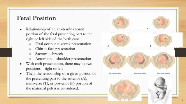 NORMAL LABOR AND DELIVERY | PPT
