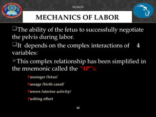 NORMAL LABOR, parturition|progress and stages of labor | PPT