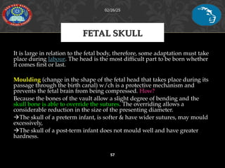 NORMAL LABOR, parturition|progress and stages of labor | PPT