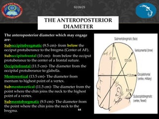 NORMAL LABOR, parturition|progress and stages of labor | PPT