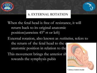 NORMAL LABOR, parturition|progress and stages of labor | PPT