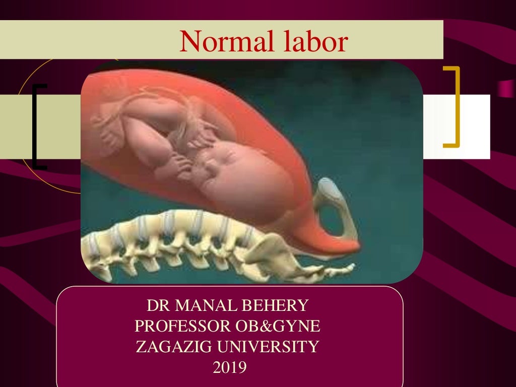 Normal labor for undergraduate