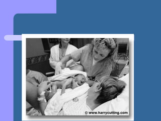Normal Labor II.ppt