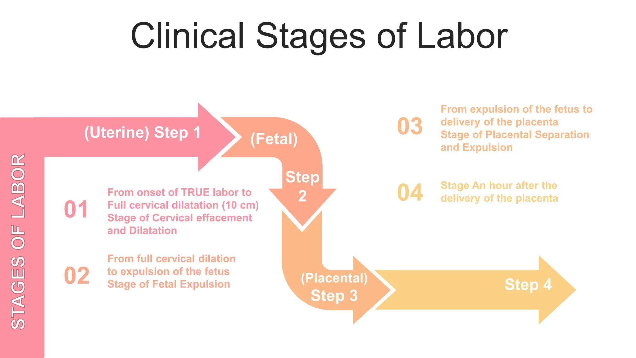 Normal Labor based on William's Obstetrics | PPTX