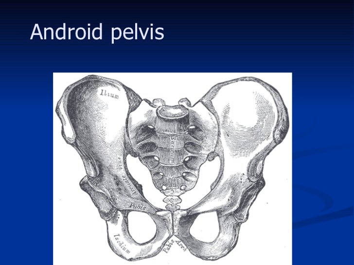Normal labor paramedics
