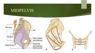 normal labor pptx | PPTX | Pregnancy | Reproductive Health