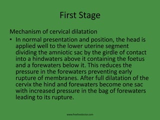 Normal labour | PPTX
