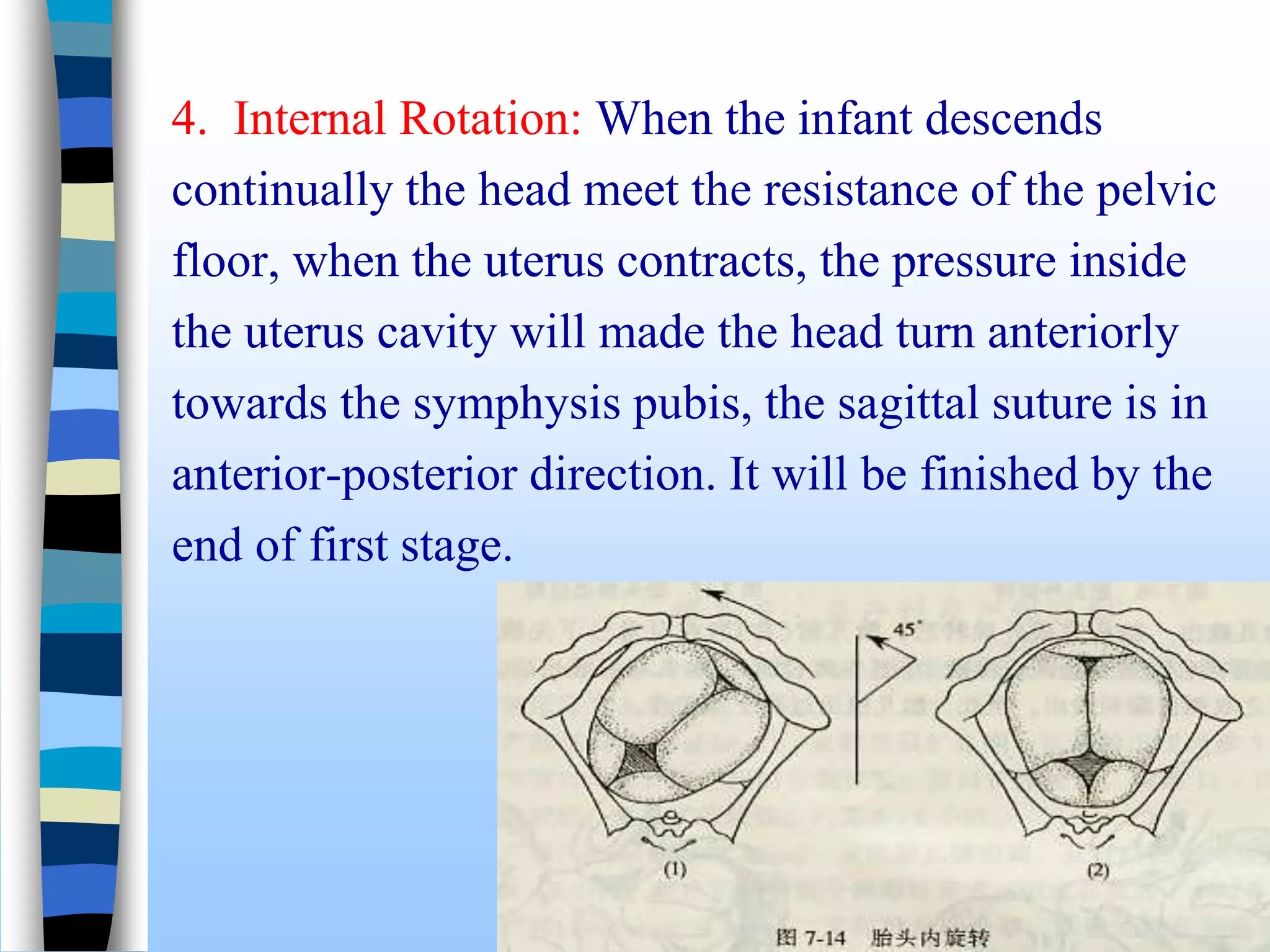 Normal labour | PPT