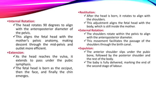 Normal Labour/ Stages of Labour/ Mechanism of Labour | PPTX