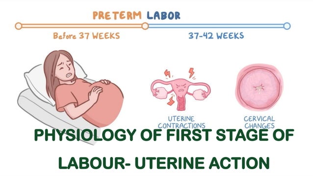 normal labour.pptx labour and its stages | PPT