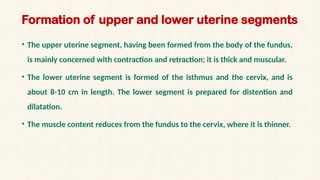 normal labour.pptx labour and its stages | PPTX