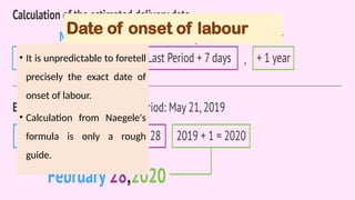 normal labour.pptx labour and its stages | PPTX