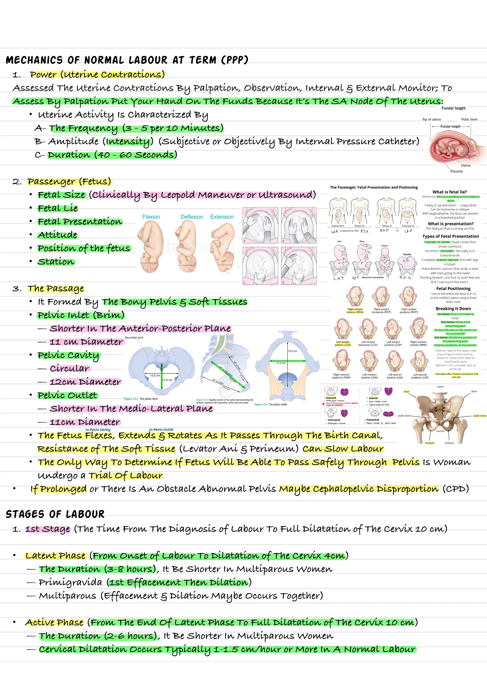 Normal labour (Obstetrics and gynaecology).pdf