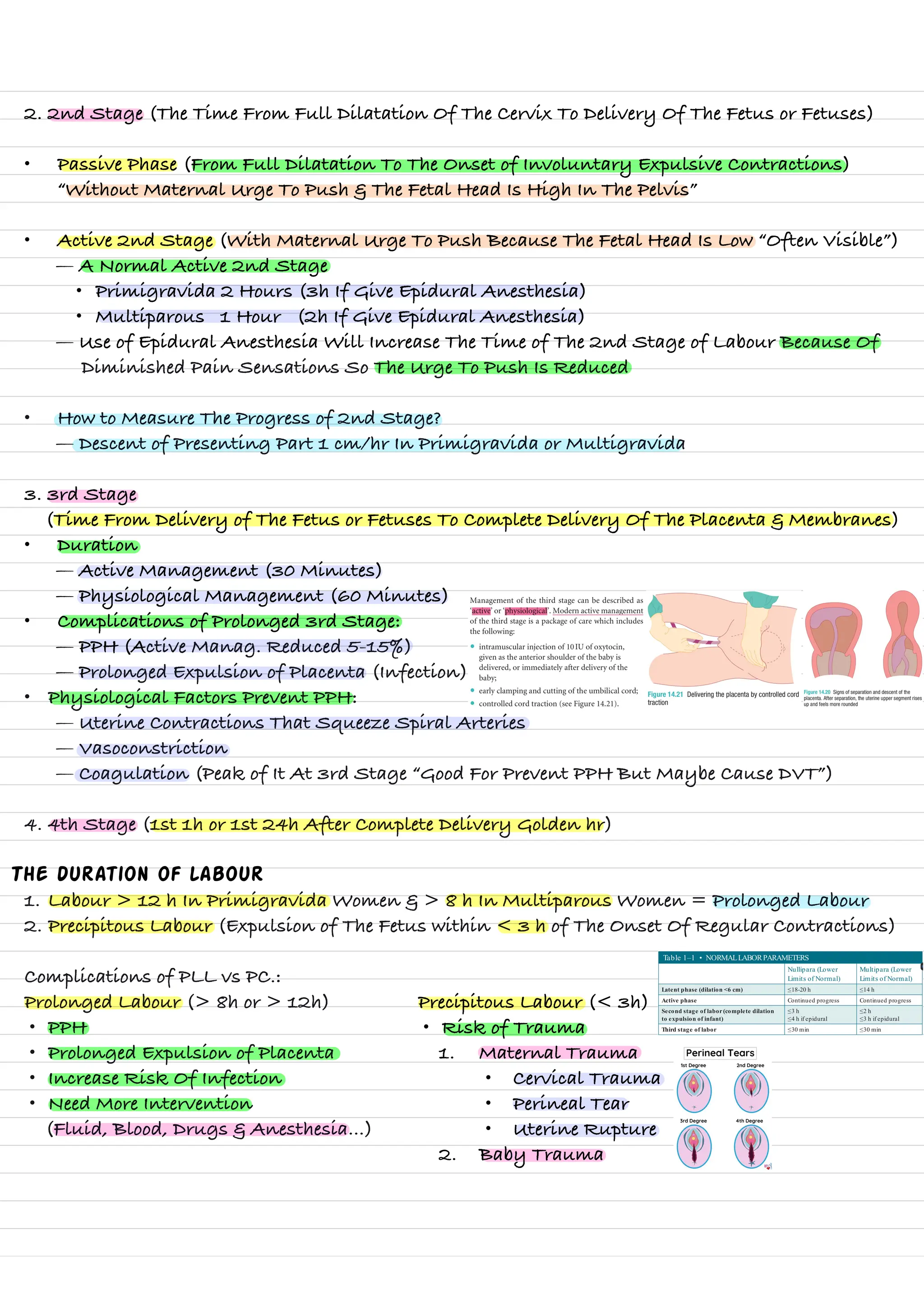 Normal labour (Obstetrics and gynaecology).pdf