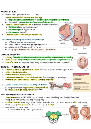 Normal labour (Obstetrics and gynaecology).pdf