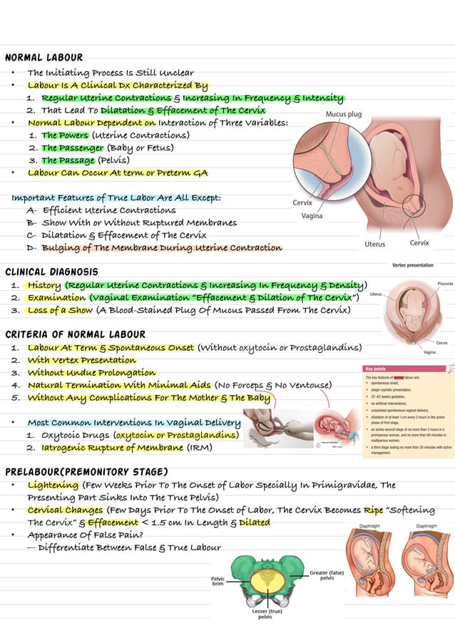 Normal labour (Obstetrics and gynaecology).pdf